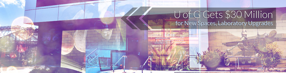 School of Computer Science