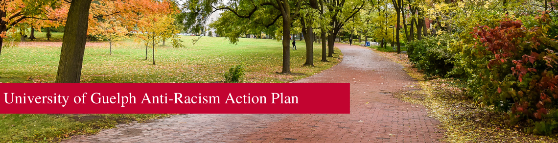 Diversity and Human Rights (DHR)