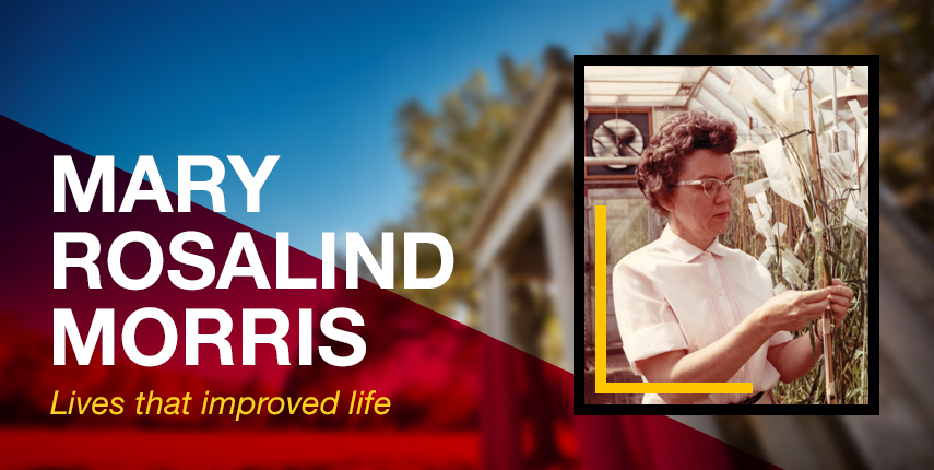 Mary Rosalind Morris