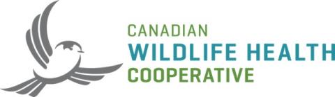 Canadian Wildlife Health Cooperative (CWHC) | Office of Research