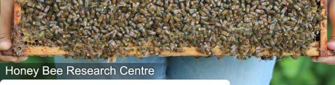 Honey Bee Research Centre | Office of Research
