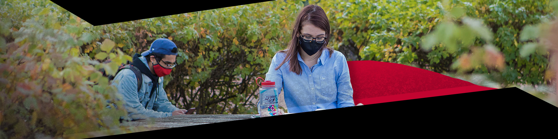 Virtual Campus, Fall 2020 | University of Guelph